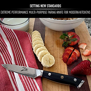 Zelite Infinity Japanese Paring Knife 4 Inch, Paring Knives, Fruit Knife, Pairing Knife, Small Knife - Japanese AUS-10 Super Steel 67-Layer Damascus Knife - Razor Sharp Knife - Superb Edge Retention