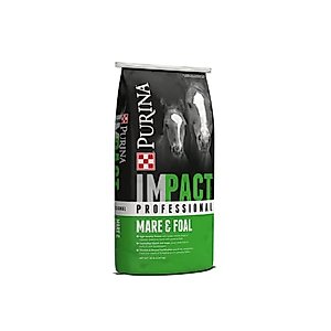Purina Impact | Professional Mare & Foal Horse Feed | 50 Pound (50 LB) Bag