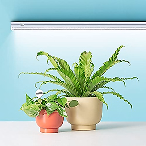 Monios-L LED Grow Light Strips,Full Spectrum Sunlight White, 3FT T5 90W(6X15W,500W Equivalent) for Indoor Plants,Grow Bars with Individual Switch for Herbs/Hydroponics/Succulents,6-Pack