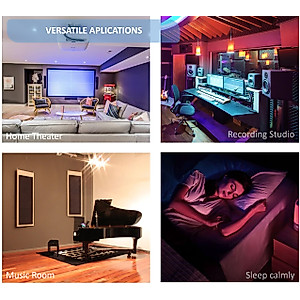 TMS Mass Loaded Vinyl, Soundproofing Material - 1Lb, MLV Acoustic Sound Barrier, 4' X 10' - 1/8 inch Thick (40 Square Feet)