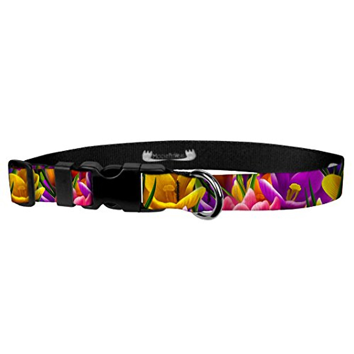 Moose Pet Wear Floral Print Dog Collar - Waterproof Cute Floral Female Dog Collar - 1 Inch Adjusts 13 - 21 Inches, Large, Spring Bloom (ACDL1-L-SPR-BLM)