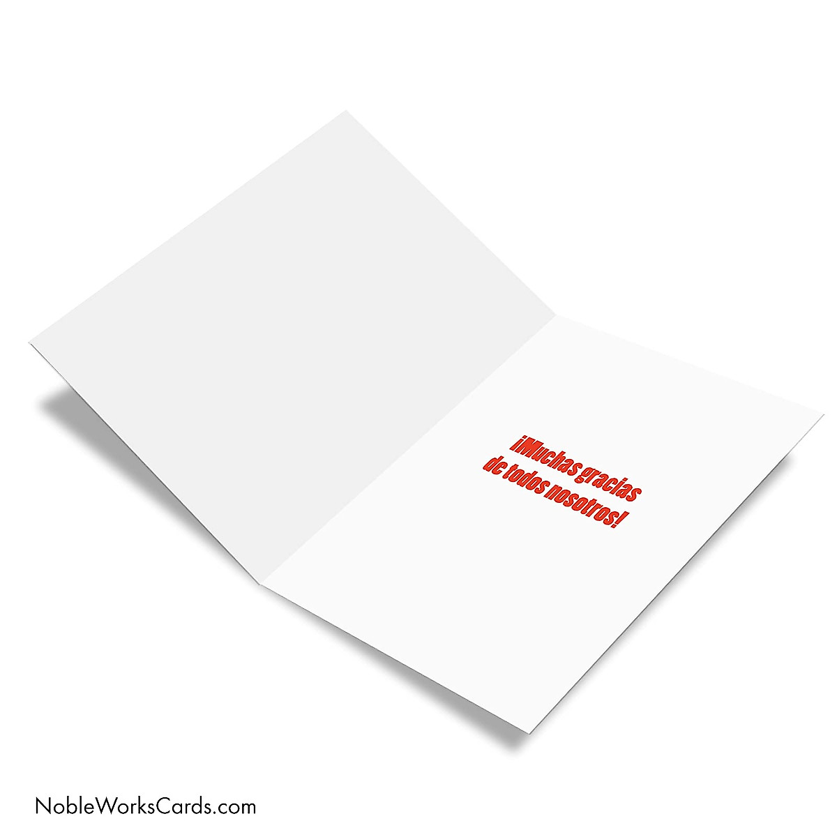 NobleWorks - Large Group Thank You Card in Spanish (8.5 x 11 Inch) Gratitude, Appreciation Gift - Big Thanks From The Team-Spanish J6884TYG-SL-US