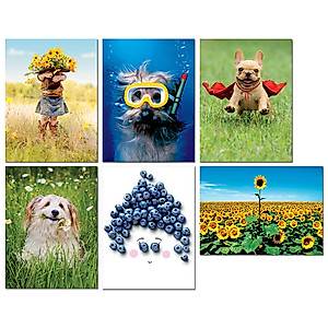 Avanti Press Thank You Greeting Card Variety Pack, 6-Count (32089)