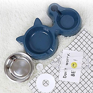 Double Bowl Water and Food Cat Feeder - Stainless Steel Bowl and Automatic Water Dispenser Bottle for Cats and Dogs