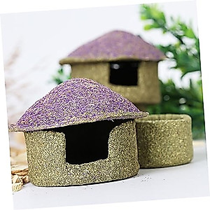 balacoo 1 Set Guinea Pig Accessories Toys Guinea Pig Treats Rat Supplies Chinchilla House Hedgehog Accessories Hideout for Small Animal Hedgehog Supplies Hamster pet House Timothy Grass