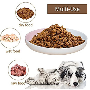 Ceramic Shallow Cat Food Dish, Cat Wet Food and Raw Meat Flat Cat Bowls; Stress Relief of Whisker Fatigue Cat Dishes, Wide Plate for Kittens Small Animals and Short Legged Munchkin Cat Set of 2