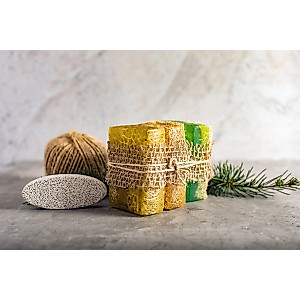 SABUN CO. Coconut Oil Loofah Soap - Natural Exfoliating Soap Bar for Face & Body Scrub - Moisturizing Soap for Softer Skin - Handmade with Coconut Oil, Jojoba Oil, Witch Hazel [4.40 oz - 125 gr]