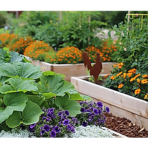 ECOgardener Premium 5oz Pro Garden Weed Barrier Landscape Fabric Durable & Heavy-Duty Weed Block Gardening Mat, Easy Setup & Superior Weed Control, Eco-Friendly & Convenient Design, 3ft x 250ft