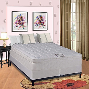 Spinal Solution, 8-Inch Sturdy Split Box Spring for Mattress Support-Durable and Fully Assembled, Natural Wood Foundation for Queen, White