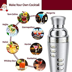 Cocktail Shaker Martini Shaker Set with Recipe, 24 oz Martini Shaker Drink Shaker Drink Mixer Stainless Steel Cocktail Shaker Set Bartender Kit