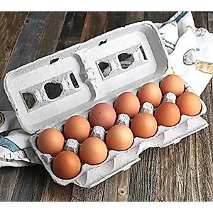 Printed Natural Pulp Egg Cartons Holds Up to Twelve Eggs - 1 Dozen Extra Large - Strong Sturdy Material Perfect For Storing Extra Eggs - by MT Products (25 Cartons) - Made in The USA