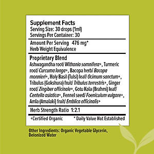 Banyan Botanicals I Travel Well Liquid Extract, USDA Organic, Ayurvedic Herbal Formula Designed To Support The Body's Natural Ability To Adapt To The Stresses Of Travel Including Changes In Time Zone.