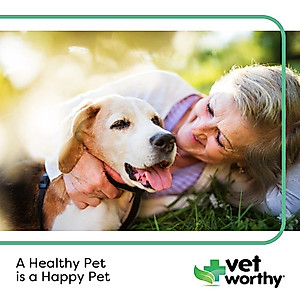 Vet Worthy Joint Support Level 4 - Chewable Tablet| Supports Bone Health and Healthy Joints - Dog Supplement with Glucosamine and Hyaluronic Acid | Vet Strength Joint Care | Liver Flavor, 60-Count