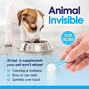 Advanced Glucosamine Powder for Dogs for Arthritis Pain Relief & Hip Dysplasia, Supports Joint Health & Reduces Inflammation with Glucosamine, Chondroitin, MSM & Coral Calcium, 6oz Powder