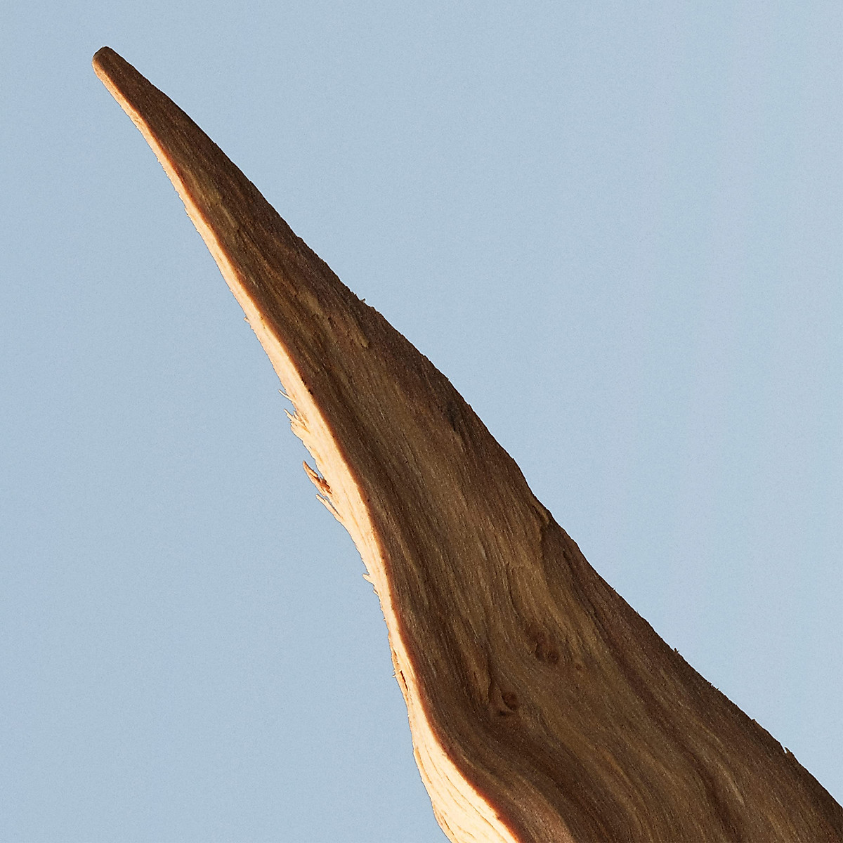 Hugo Boss BOTTLED TONIC Eau de Toilette, 1.6 Fl Oz