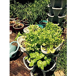 3 Tier Stackable Herb Garden Planter Set with Bottom Saucer - Stone Color - Vertical Container Pots for Herbs, Strawberries, Flowers