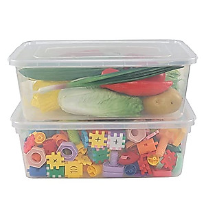 Hespama 14 Quart Plastic Storage Bin, Clear Latching Boxes with Grey Lid, 2 Packs, F