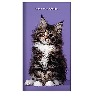 TF PUBLISHING 2024-2025 Kittens 2-Year Small Monthly Pocket Planner | 2-Page Large Calendar Grid and Lined Notes Section in Back | Monthly Day Planner for Purse | 3.5" x 6.5"