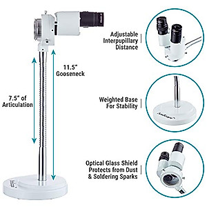 AmScope - 8X Binocular Stereo Microscope w/ 360 Revolve + 8W Fluorescent Ring Light - Gooseneck Illuminator Set for Dental, Lab, Electronic Repairs - SE508-FRL