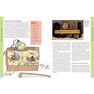 A Kid's Guide to Keeping Chickens: Best Breeds, Creating a Home, Care and Handling, Outdoor Fun, Crafts and Treats