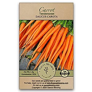 Gaea's Blessing Seeds - Carrot Seeds - Tendersweet - Non-GMO Seeds with Easy to Follow Planting Instructions - Heirloom Net Wt. 1.5g Germination Rate 91%