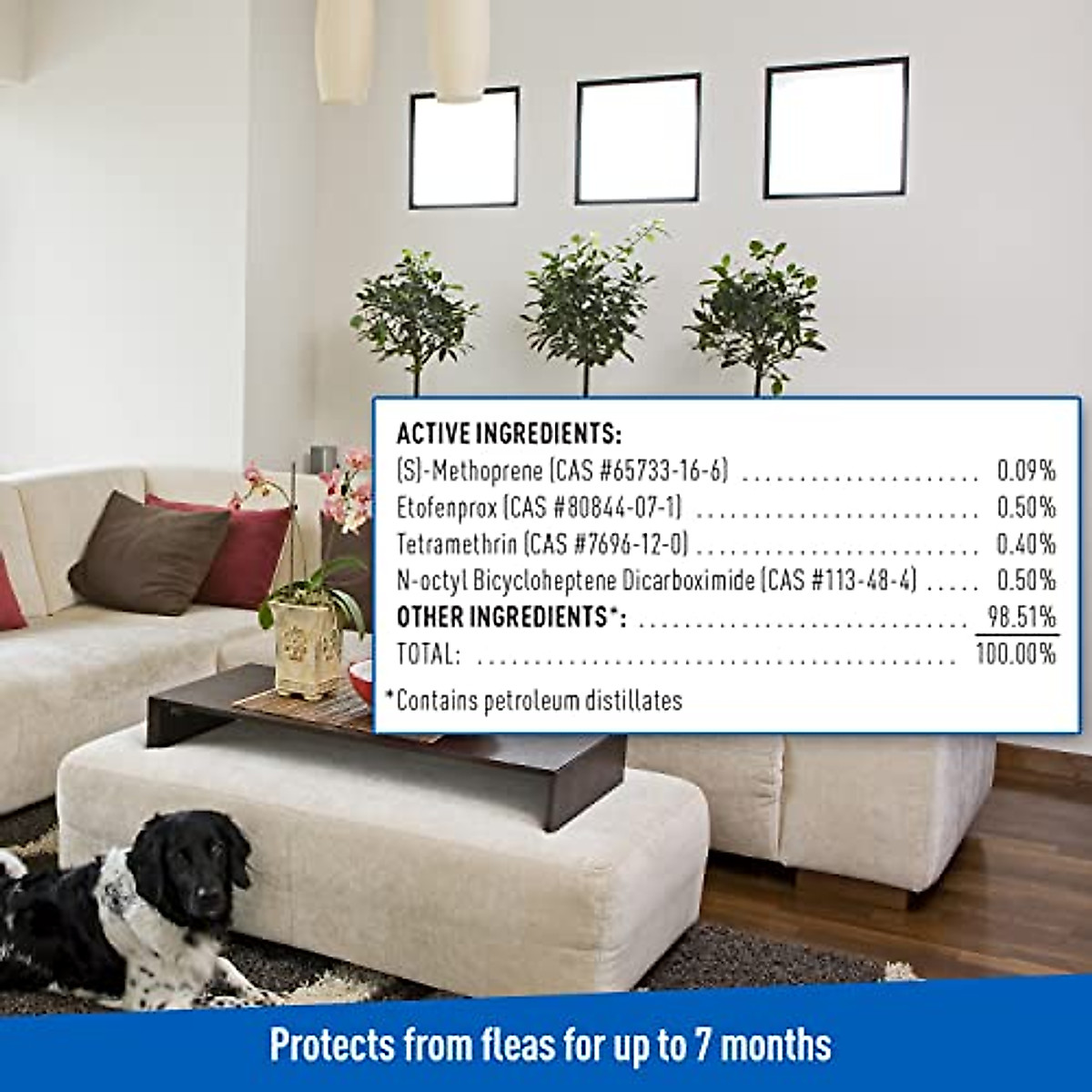 Adams Plus Flea & Tick Indoor Fogger, 3 x 3 oz Cans, Kills Fleas, Flea Eggs, Ants, Flies, Wasps, Cockroaches, Mosquitoes, and Many Other Listed Pests, Each Fogger Treats Up To 3000 Cu Ft, 9 Oz