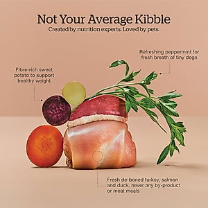 Now Fresh Grain-Free, Dry Dog Food, Small Breed Kibble, Real Meat and Fish, Turkey, Salmon and Duck Senior Recipe, 6 lb Bag