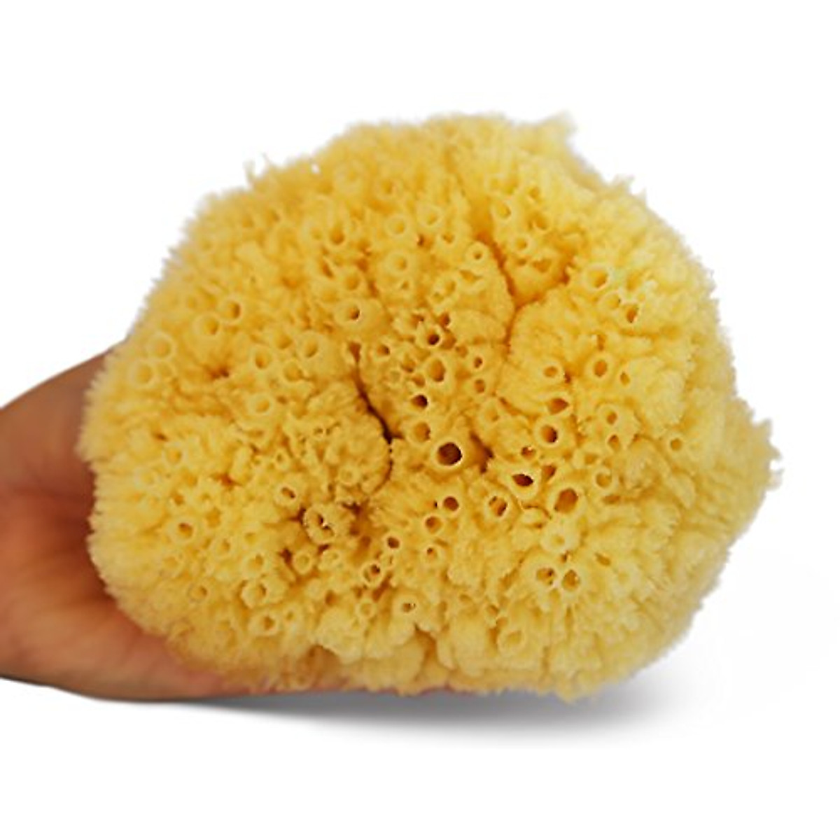 Real Natural Sea Sponges Multipack - 5pc Spa Gift Set in Premium Bag, Kind on Skin, for Bath Shower Facial Cleansing, Pamper Moms Brides Girlfriends & Teens by Constantia Beauty®