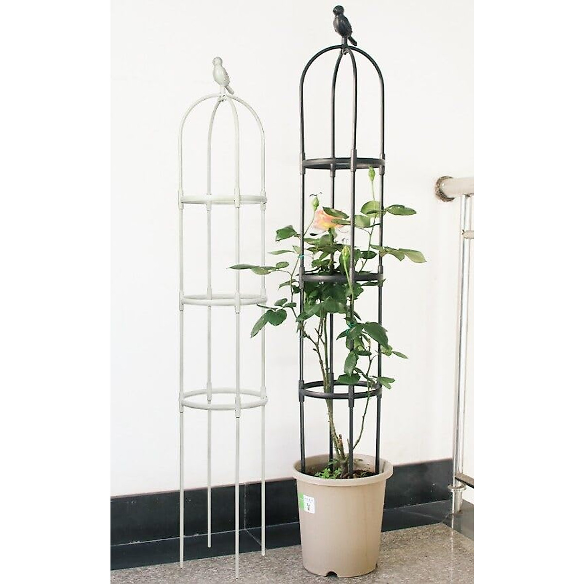 Climbing Vine Rack Rose Trellis Outdoor 120cm Home for Garden Balcony ...