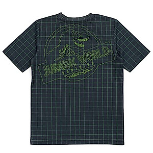 Jurassic World Jurassic Park T-Rex Toddler Boys T-Shirt and Shorts Outfit Set Black/Green 3T