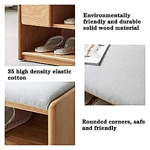 ALDEPO Shoe Cabinet Shoe Cabinet Bench Double Layer of Large Capacity and Simple Stool for Changing Shoes Shoe Cabinet with Sponge Cushion Ottoman Shelf Storage Drawer