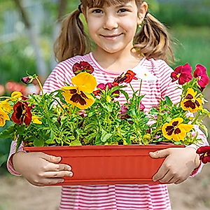 Elcoho 6 Pack Flower Window Box Planters 17 Inches Plastic Vegetable Plant Pot Rectangular Planters with Trays for Windowsill, Patio, Porch, Garden, Home Decor (Red)