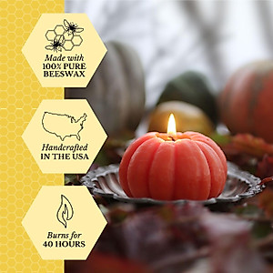 Big Dipper Wax Works Small Dark Orange Pumpkin Candle, 20-Hour Long Burn, Pure Beeswax Sculpted Candle, 3” x 2”, Fall Candle