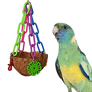 Super Bird Creations SB895 Coco Treat Cup Foraging Bird Toy, Small/Large Bird Size, 9" x 4"