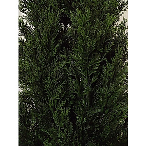 One 4 Foot Outdoor Artificial Cedar Topiary Tree Potted UV Rated Plant by Silk Tree Warehouse Company Inc (4 Foot)