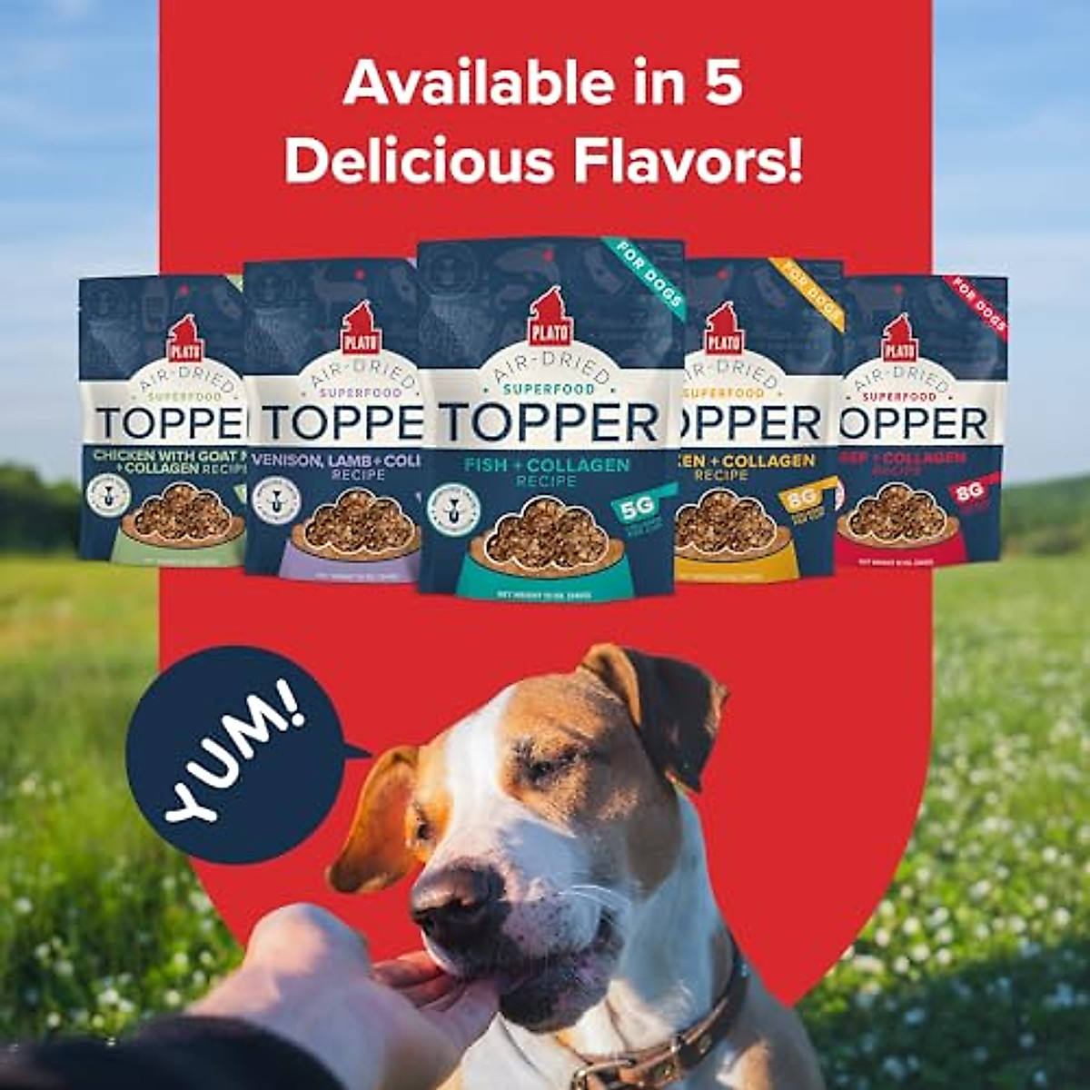 PLATO Pet Treats Air Dried Dog Food Topper, Dog Food Topper, Fish and Collagen Recipe, Superfood, Grain Free, Made in The USA, 12oz