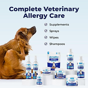 Vetnique Dermabliss Anti Itch Spray for Dogs & Cats with Hydrocortisone for Allergies and Immediate Dog Itching Skin Relief - Fragrance Free with Soothing Oat Extract (4oz Anti Itch Spray)