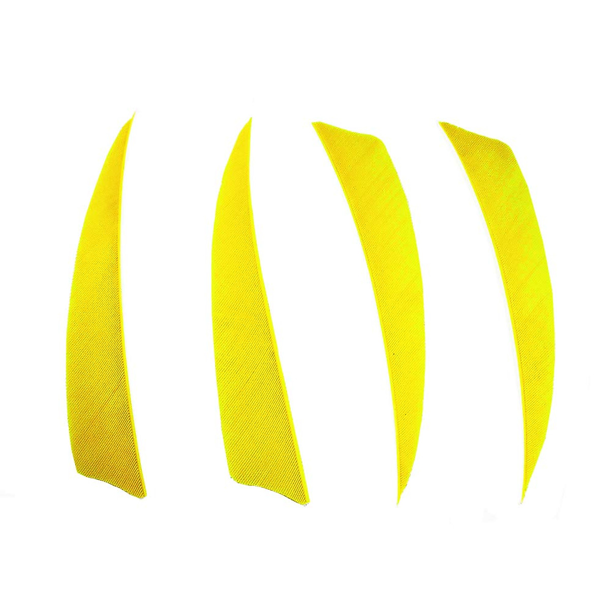 Zhan Yi Archery Fletchings Real Turkey Shield Feathers 4 inch Full Length 50 Pack Glued Right Wing for Arrows DIY