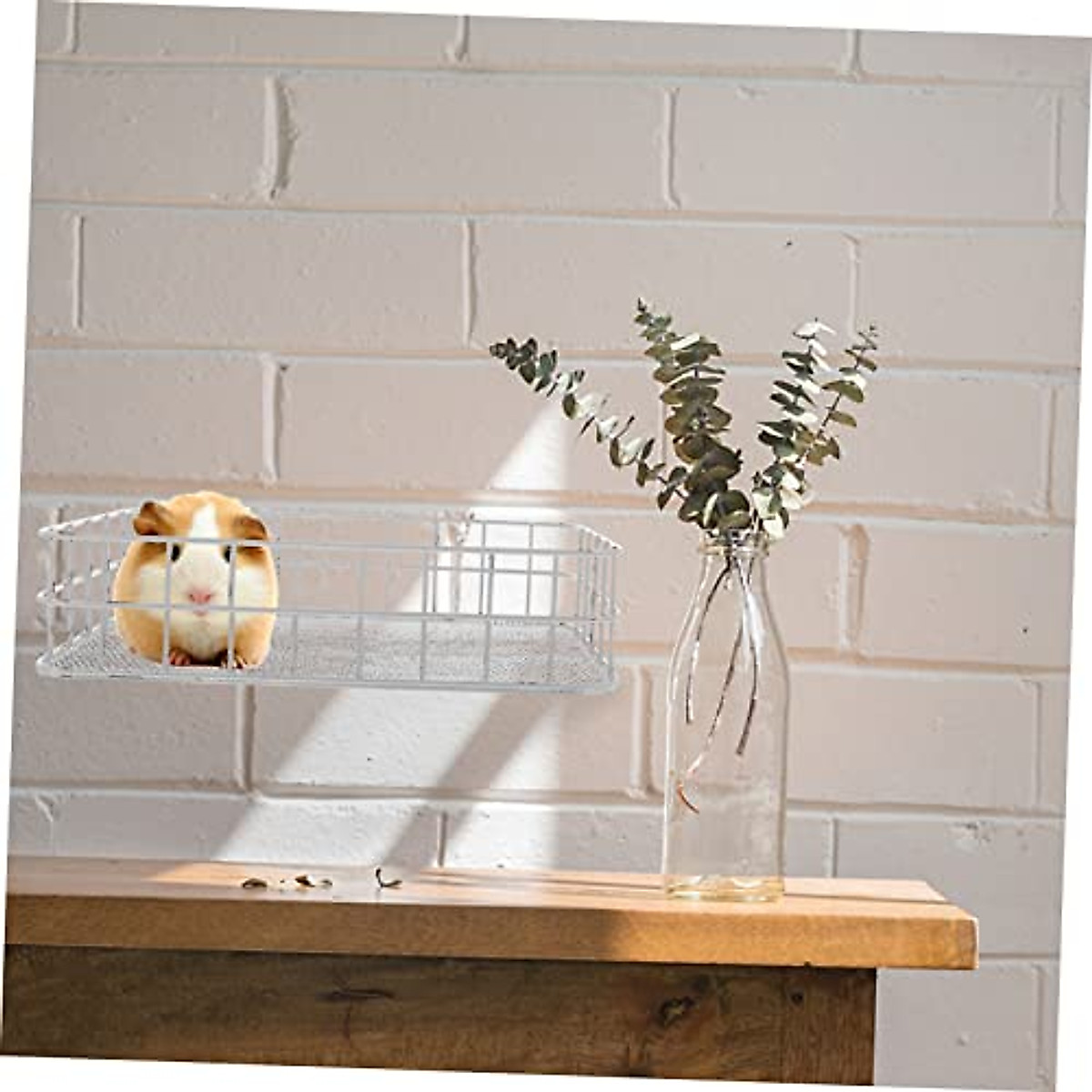 Hamster Platform Small Animal Cages Squirrel Toys Pet Toys Small Animal Habitat Ferret Hammock Hamster Ladder Hamster Supplies Iron Chinchilla Toy Decorative Chinchilla Toy White