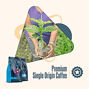 Inflight Fuel Coffee Co. Bravo (Medium) Roast - Freshly Roasted - Whole Bean Coffee- Smooth with Notes of Walnut, Vanilla, and Apricot - Gift for Aviation Lovers - Travel Enthusiasts - Responsibly Sourced