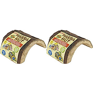Zoo Med Habba Hut for Terrariums [Set of 2] Size: Small (3.5" L x 4.5" W x 2.5" H)