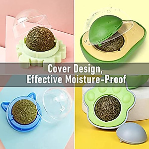 BOXTOHEART 4 Pack Catnip Ball Toys, Edible Organic Balls for Cats and Kittens - Crab Avocado Snail Shapes, Wall Mountable for Engaging Play, Teeth Cleaning, and Hairball Relief (4-Pack-E)