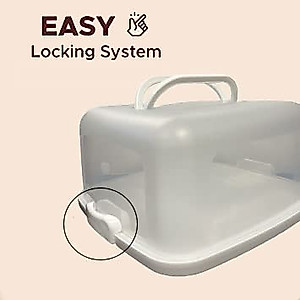 St@llion Plastic Large Square Cake Carrier with Lid Carry Handle and Easy Locking, Storage Container Lockable, Christmas Cookie Box, Trick-or-Treat 35 cm x 15 cm (Pack of 2)