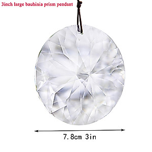 Bauhinia Hanging Faceted Crystals Large Window Prisms Suncatcher Ornament Rainbow Maker Chandelier Crystal Pendant(85mm,Round)