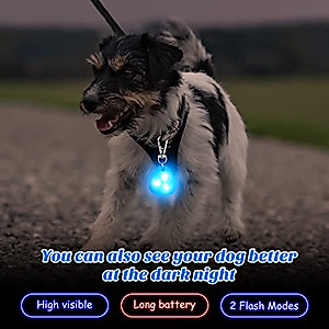 2 Pcs LED Dog Collar Light Waterproof Silicone Light up Dog Tag Clip on Flashing Dog Lights for Night Walking Camping Light for Dog Collar Pet Harness Leash Safety Paw Dog Tag Light (Red, Blue)