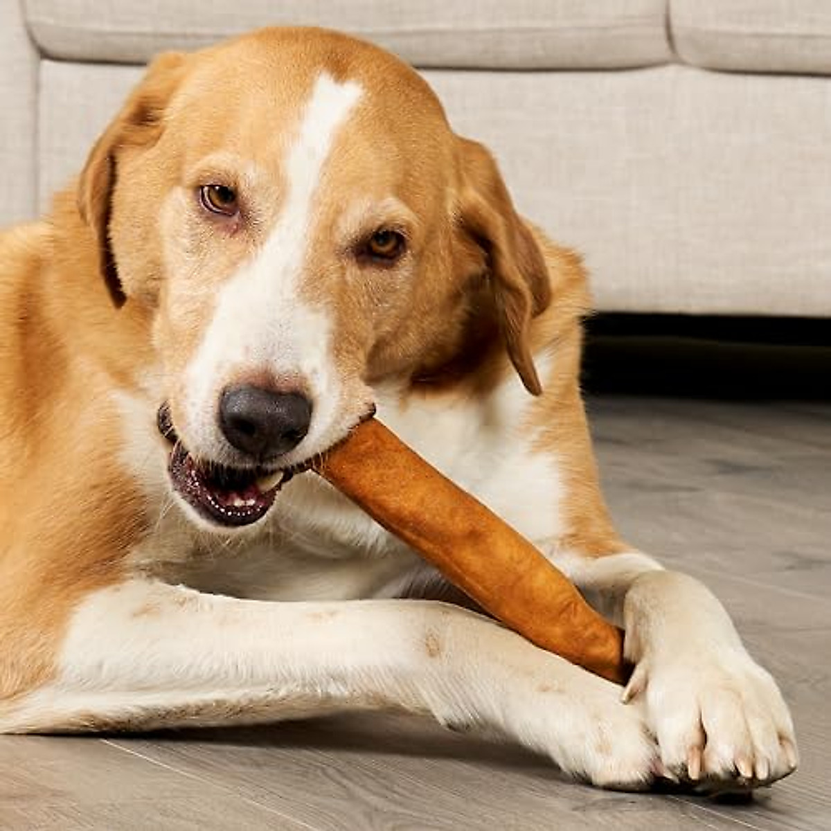 Treatly USA Collagen Rolls 9-10" Dog Chew Treats - Chicken Marinade Flavor, 4 Count/1 Pack