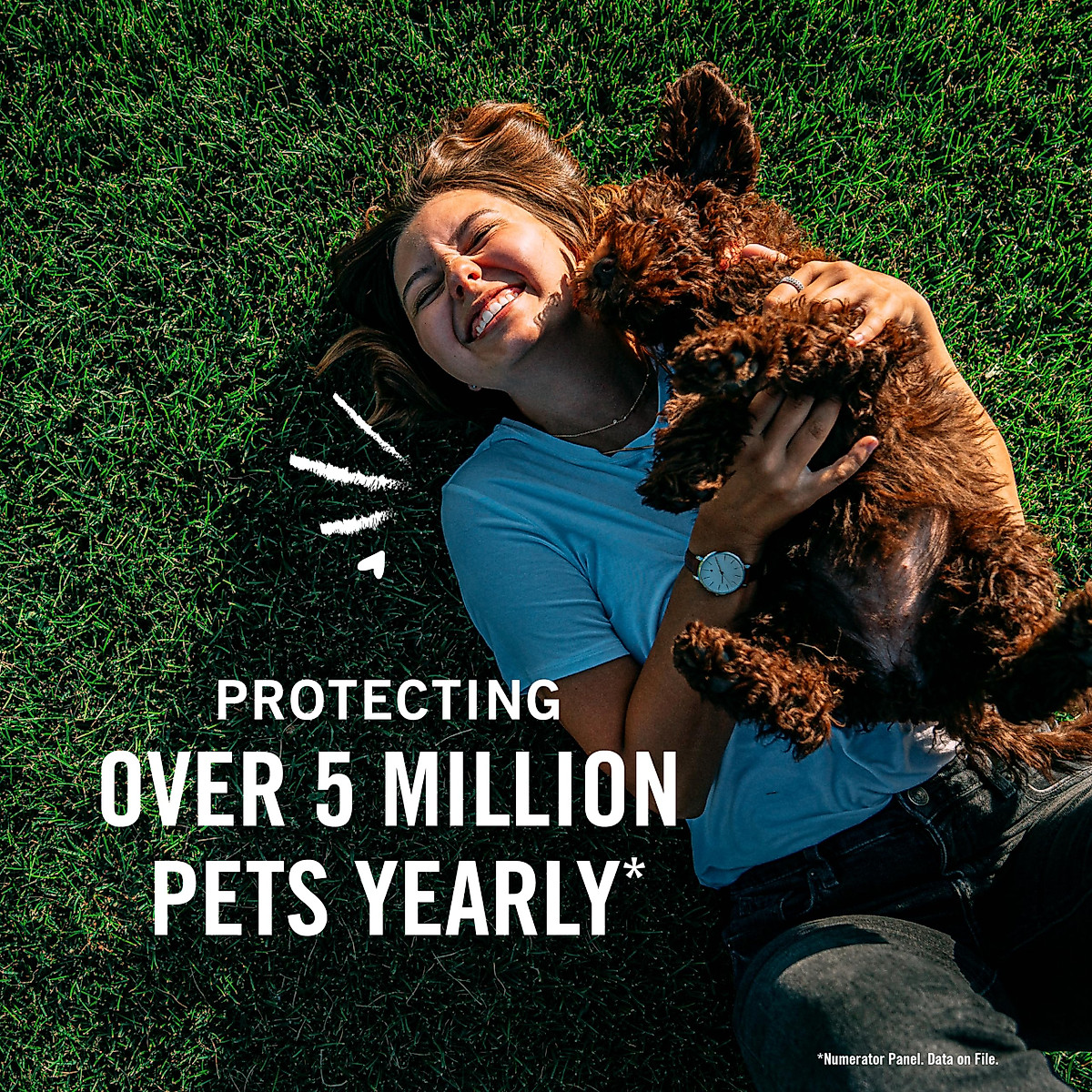 PetArmor Plus Flea and Tick Prevention for Dogs, Dog Flea and Tick Treatment, 6 Doses, Waterproof Topical, Fast Acting, Medium Dogs (23-44 lbs)