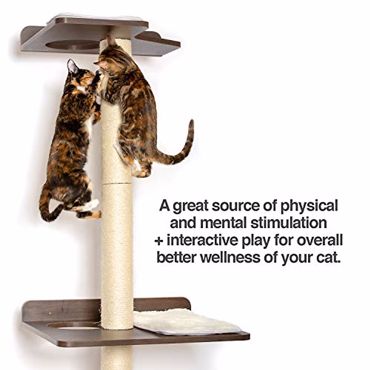 PetFusion Ultimate Cat Climbing Tower & Activity Tree. (24 x 20.8 x 76.8 inches (lwh) Tall Sisal Scratching Posts, Modern Wall Mounted cat Furniture, Espresso Finish). 1 Year Manufacturer Warranty