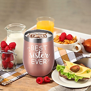 GINGPROUS Best Sister Ever Wine Tumbler with Lid, Sisters Birthday Gifts from Sister Brother Sister in Law Wine Tumbler, Stainless Steel Insulated Wine Tumbler with Straw (12 Oz, Rose Gold)