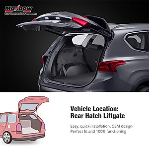 Maxpow 2pcs Rear Liftgate Hatch Gas Charged Lift Support Compatible with Ford Expedition 1997 1998 1999 2000 2001 2002 SG204020